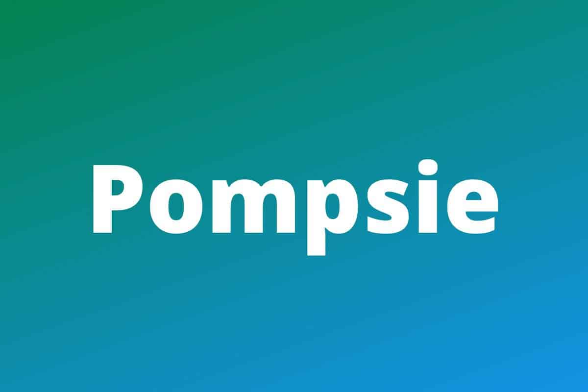 pompsie-net-worth-and-earnings-from-youtube-slots-2024-work-with